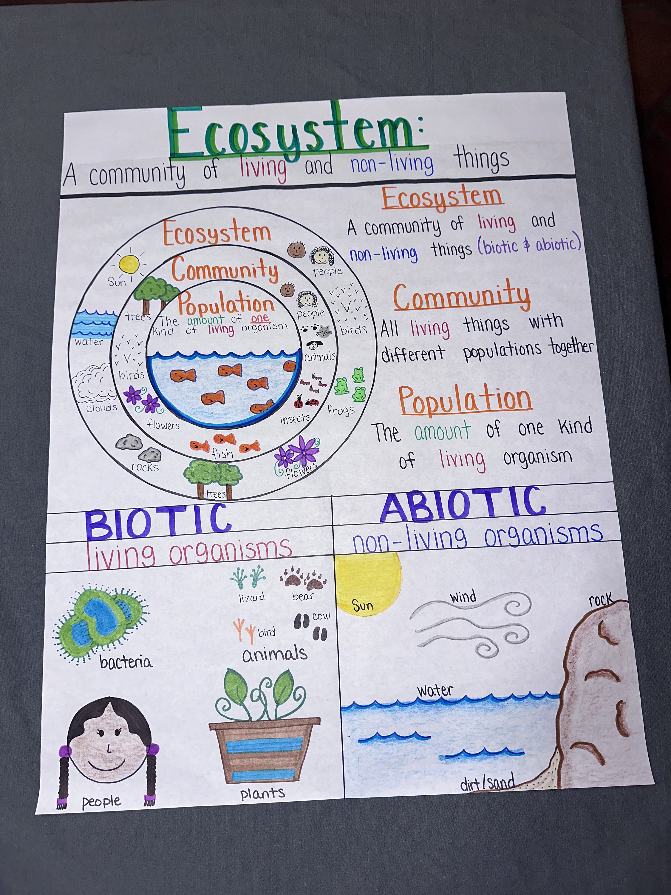 Introduction to Ecosystem Anchor Chart for Elementary, Middle and High ...