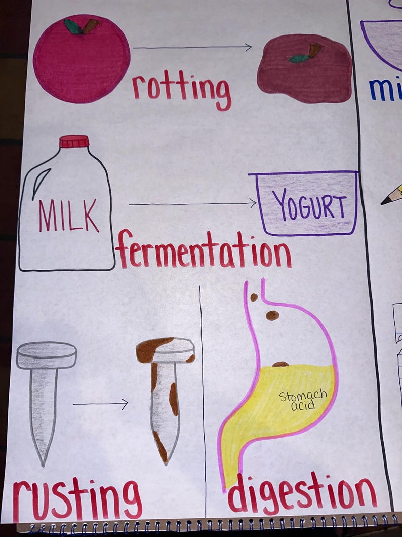 Chemical and Physical Changes for Elementary, Middle and High School - Etsy