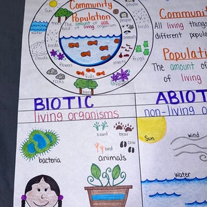 Introduction to Ecosystem Anchor Chart for Elementary, Middle and High ...