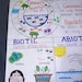 Introduction to Ecosystem Anchor Chart for Elementary, Middle and High ...