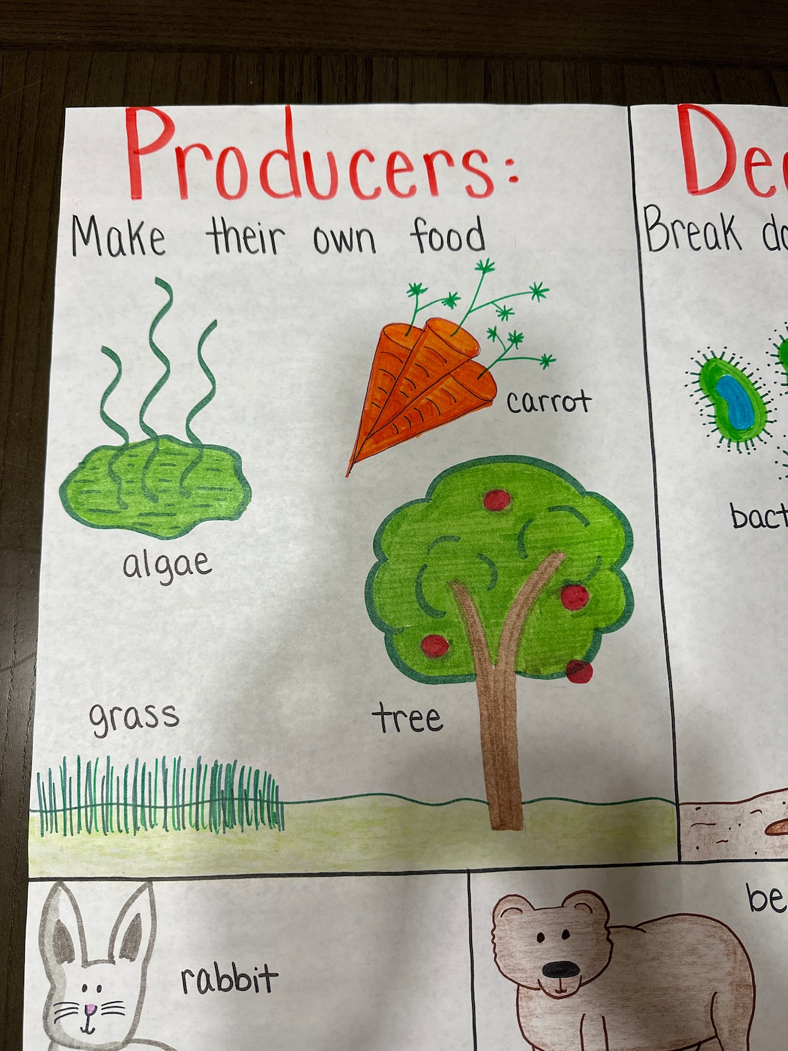Producers/consumers/decomposers Anchor Chart for Elementary, Middle and ...