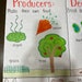 Producers/consumers/decomposers Anchor Chart for Elementary, Middle and ...