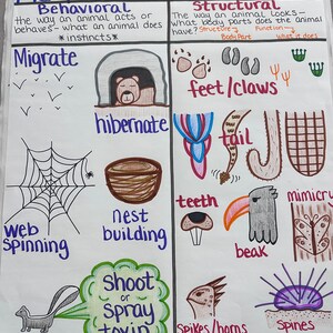 Animal Adaptations Anchor Chart for Elementary, Middle and High School ...