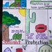 Plant Adaptations Anchor Chart for Elementary, Middle and High School ...