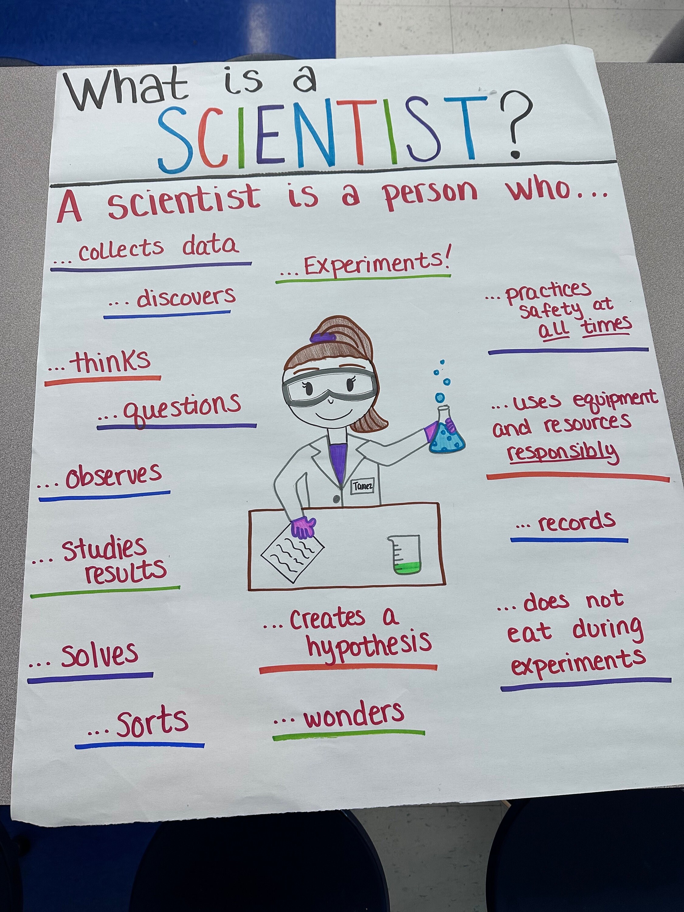 What is A Scientist Anchor Chart for Elementary, Middle and High School ...