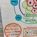 Atomic Structure Anchor Chart for Elementary, Middle and High School - Etsy