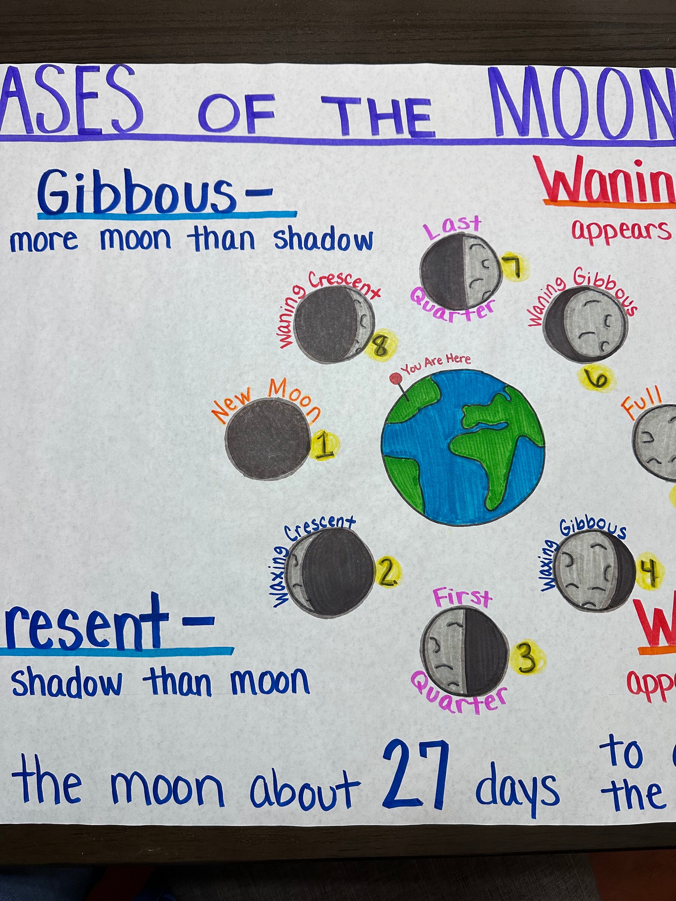 Moon Phases Anchor Chart for Elementary, Middle and High School - Etsy