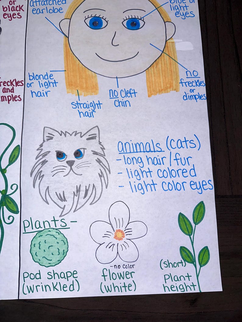 Traits Anchor Chart for Elementary School, Middle School, and High ...