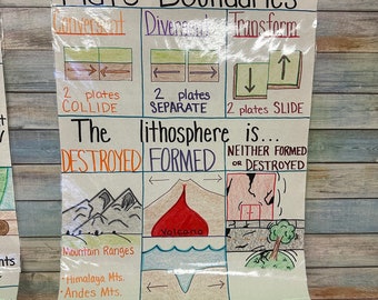 Plant Adaptations Anchor Chart for Elementary, Middle and High School ...