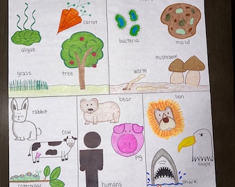 Properties of Matter Anchor Chart for Elementary, Middle and High ...