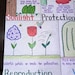 Plant Adaptations Anchor Chart for Elementary, Middle and High School ...
