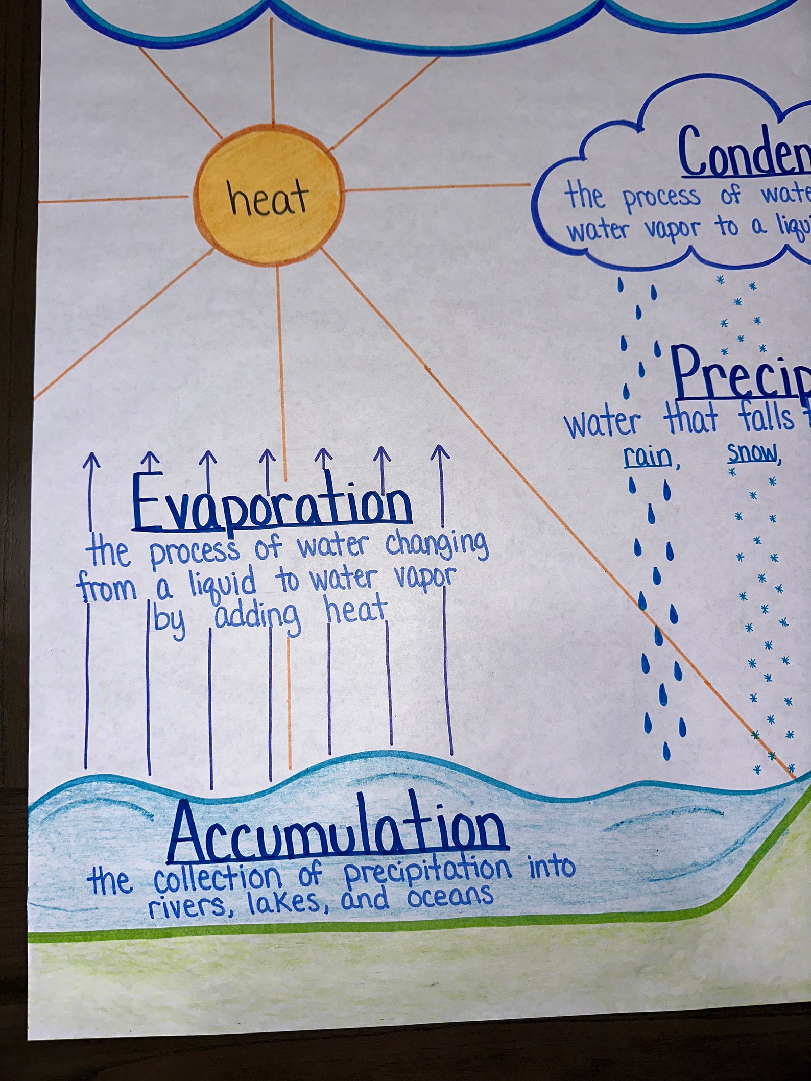 Water Cycle Anchor Chart for Elementary, Middle and High School - Etsy