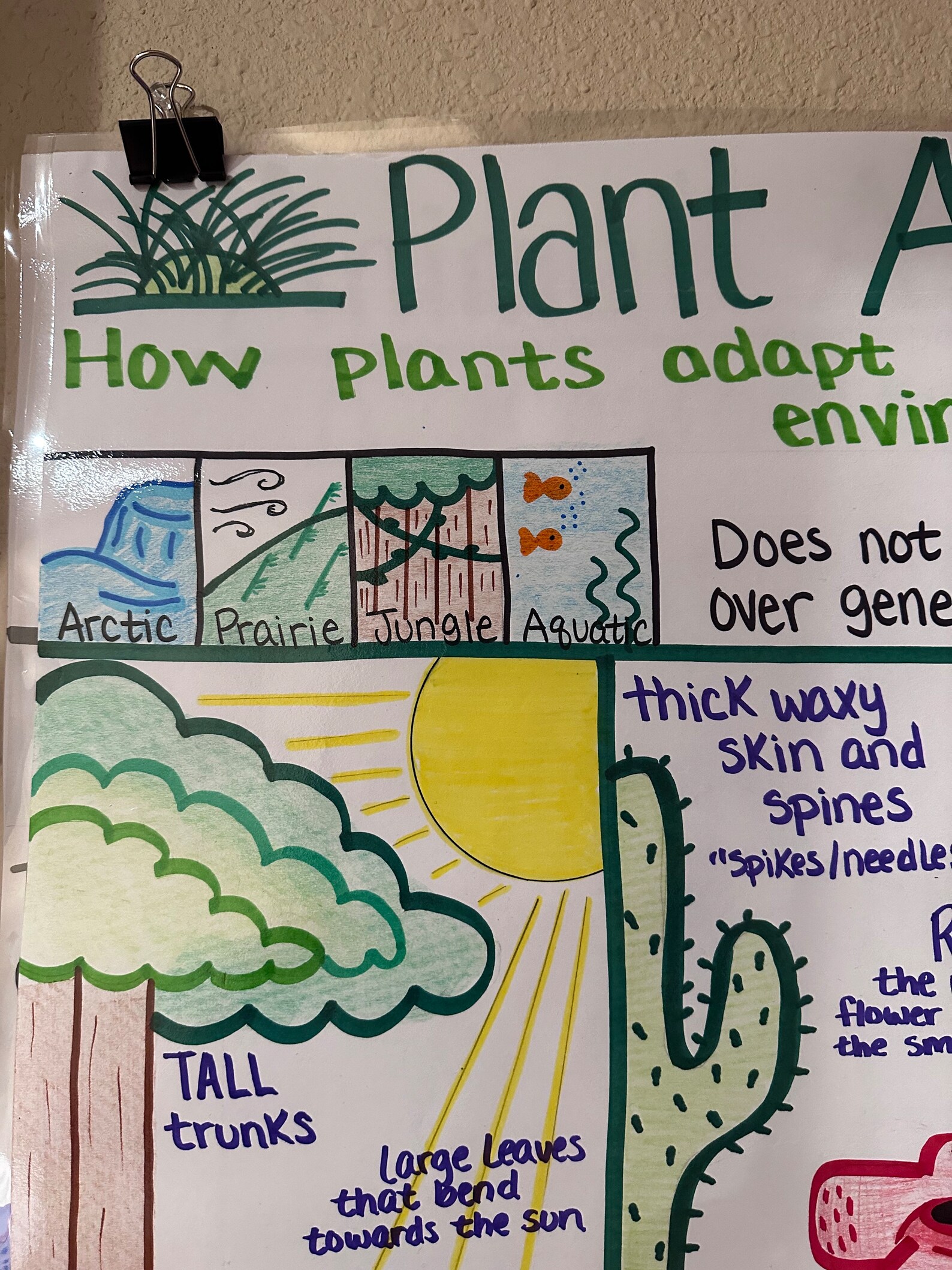 Plant Adaptations Anchor Chart for Elementary, Middle and High School ...