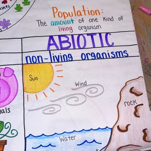 Introduction to Ecosystem Anchor Chart for Elementary, Middle and High ...
