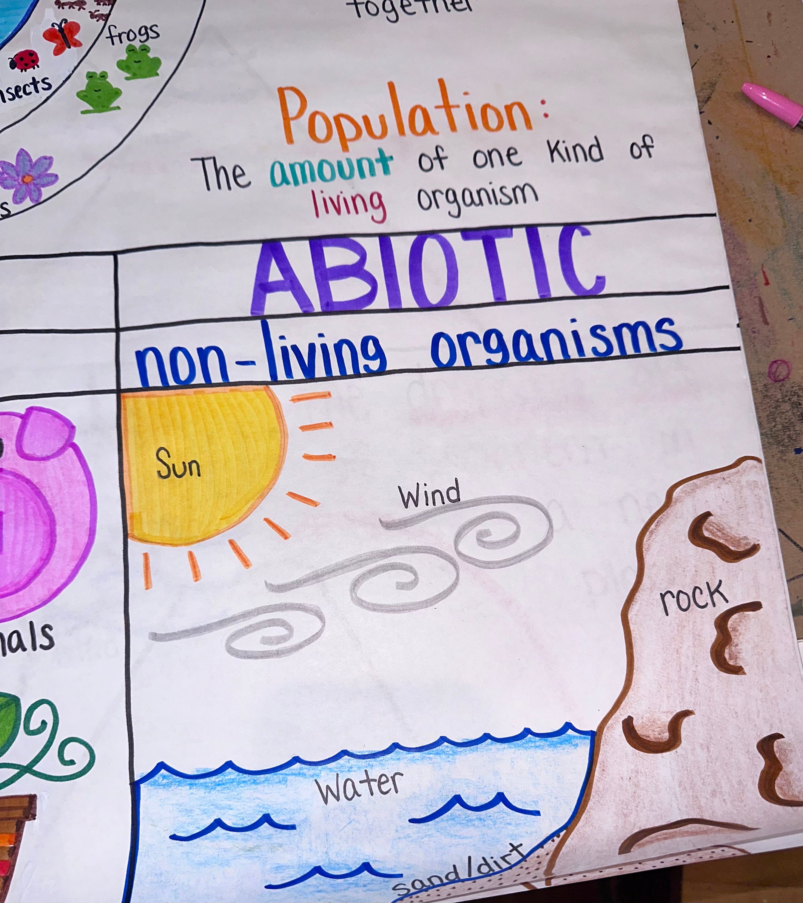 Introduction to Ecosystem Anchor Chart for Elementary, Middle and High ...