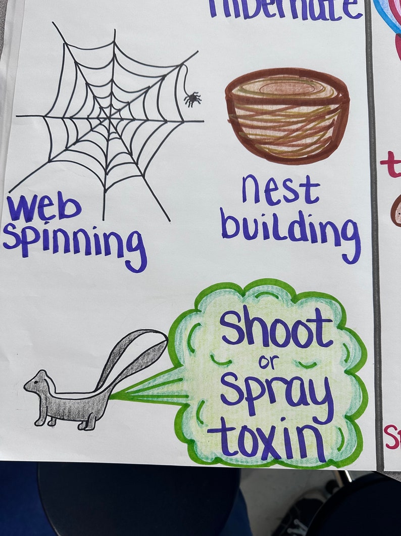 Animal Adaptations Anchor Chart for Elementary, Middle and High School ... Animal Adaptations Anchor Chart for Elementary, Middle and High School ...