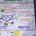 Introduction to Ecosystem Anchor Chart for Elementary, Middle and High ...