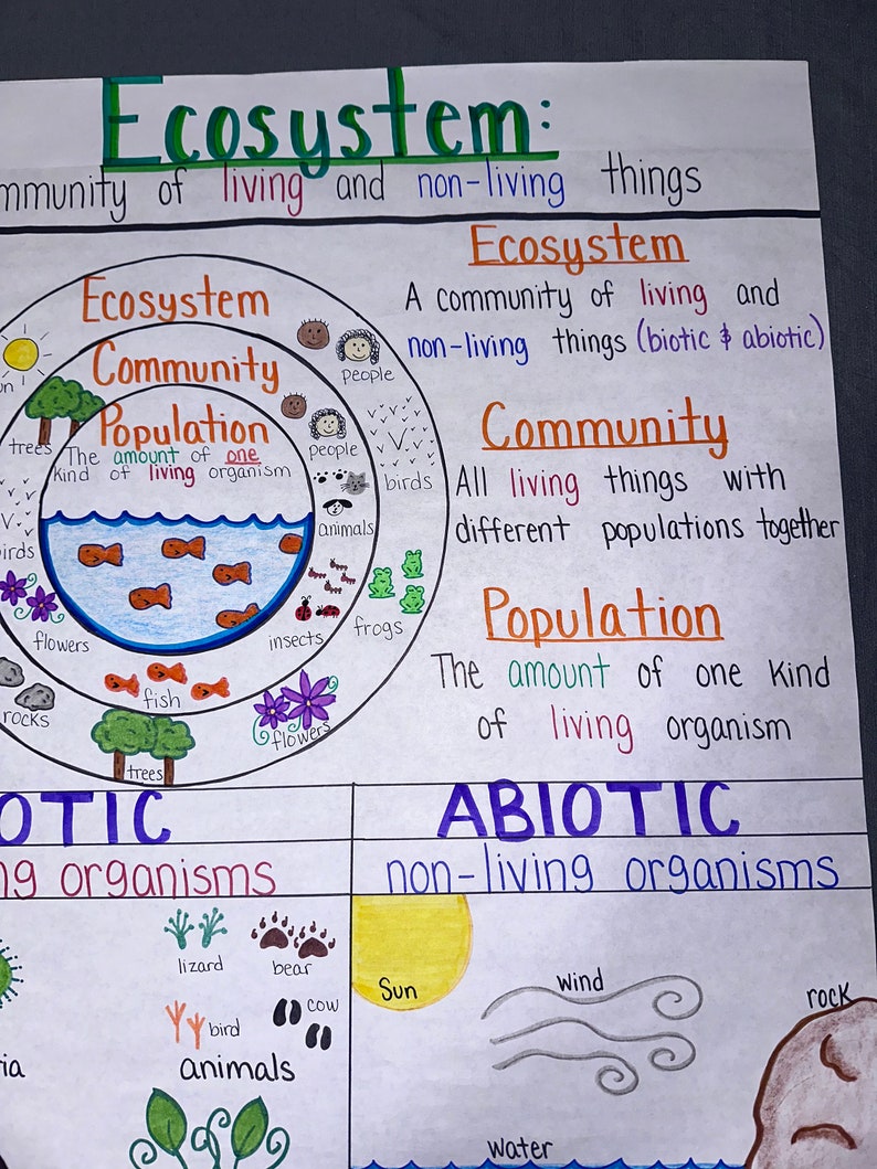Introduction to Ecosystem Anchor Chart for Elementary, Middle and High ...