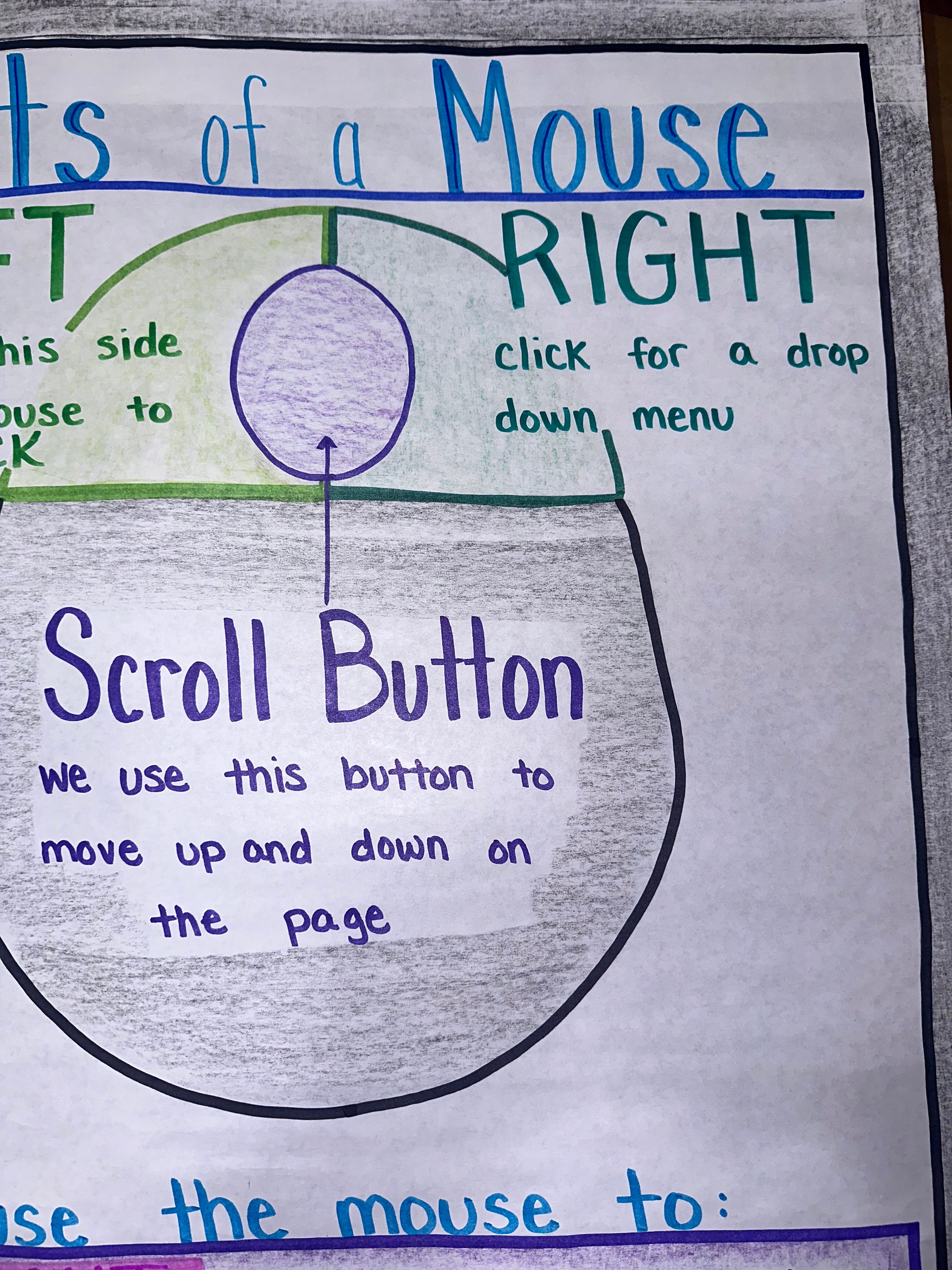 Parts of a Mouse - Technology Anchor Chart for Elementary, Middle and ...