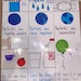 States of Matter Anchor Chart for Elementary, Middle and High School - Etsy