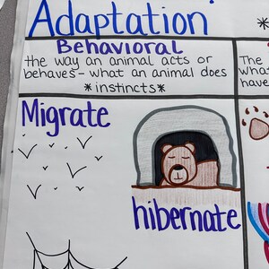Animal Adaptations Anchor Chart for Elementary, Middle and High School ...