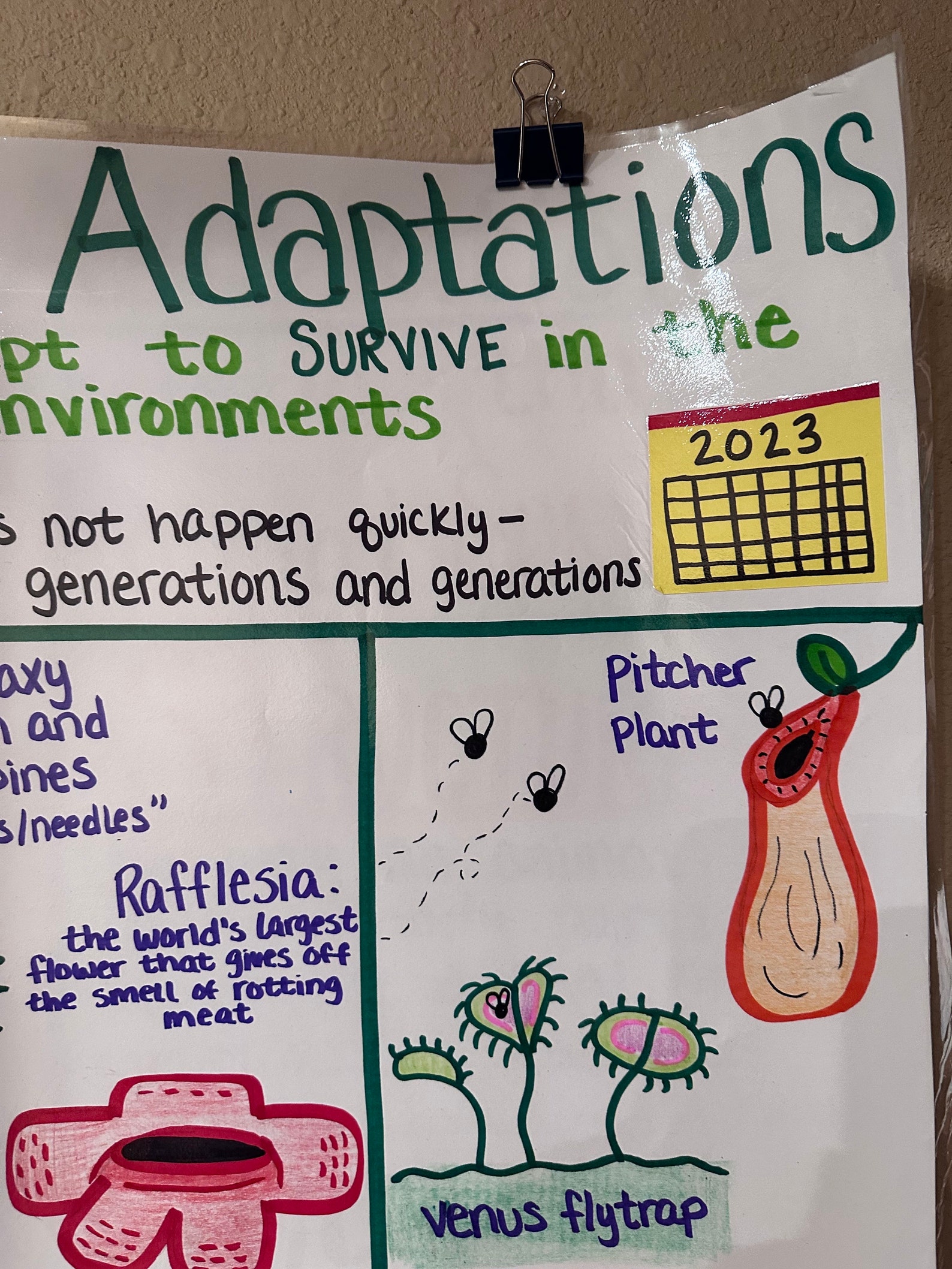 Plant Adaptations Anchor Chart for Elementary, Middle and High School ...