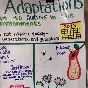 Plant Adaptations Anchor Chart for Elementary, Middle and High School ...