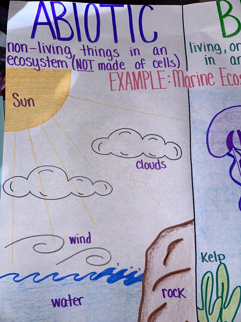 Biotic and Abiotic for Elementary School Middle School and High School ...