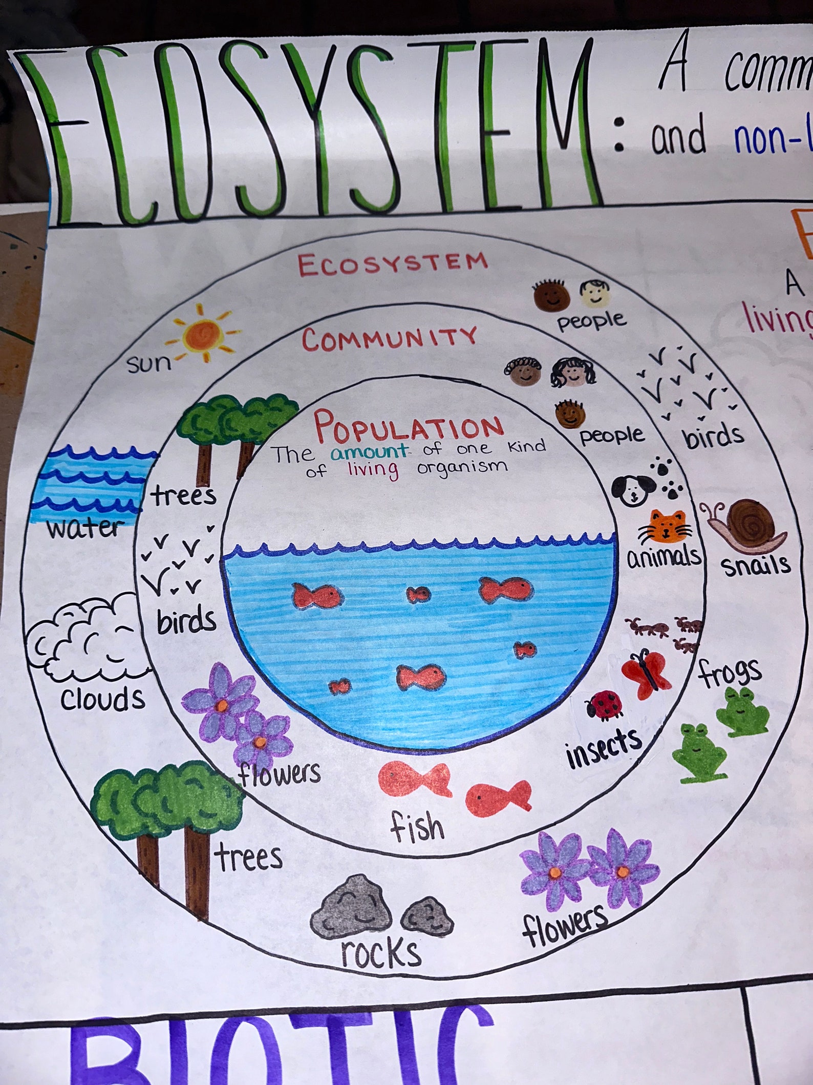 Introduction to Ecosystem Anchor Chart for Elementary, Middle and High ...