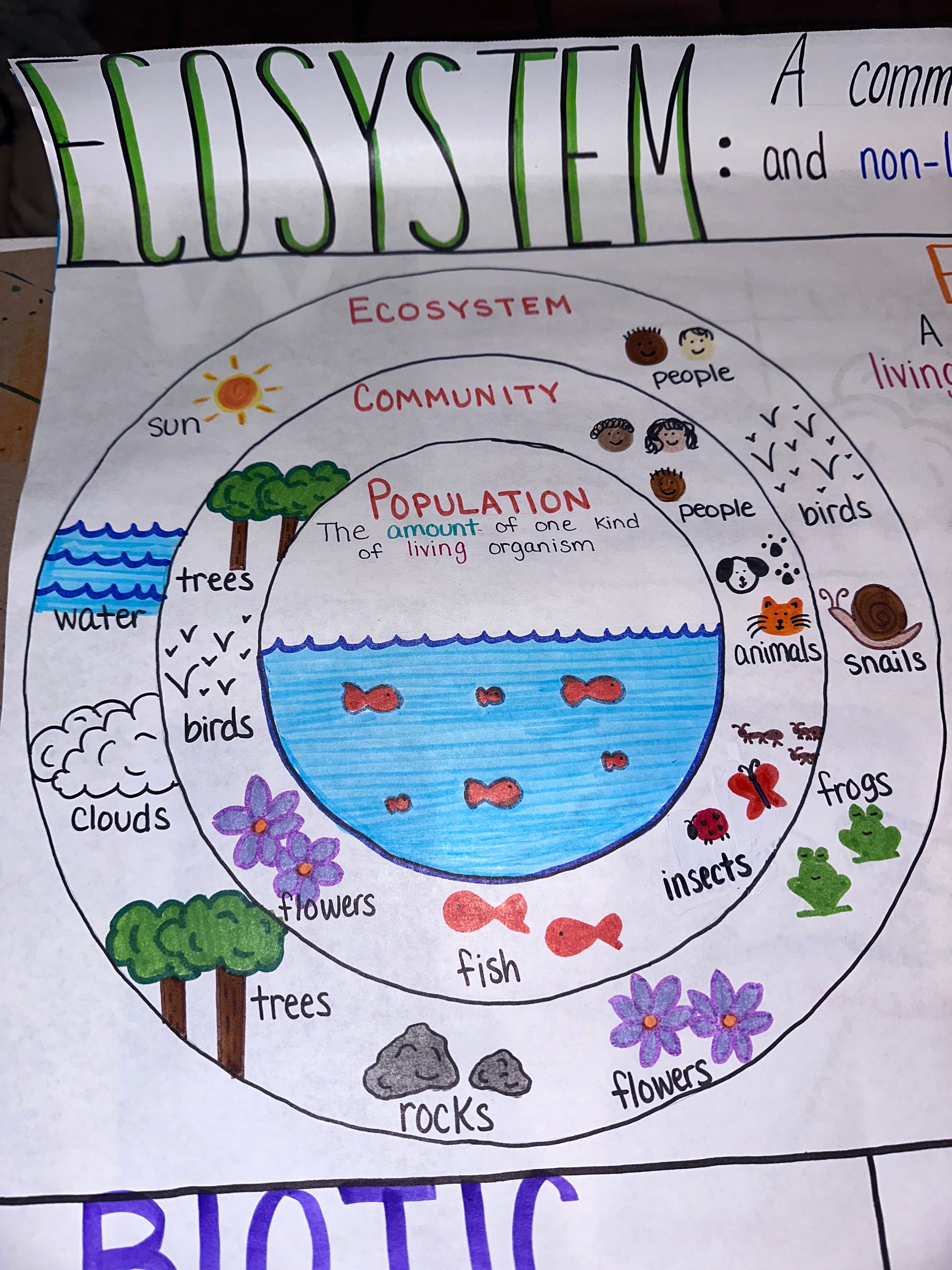 Introduction to Ecosystem Anchor Chart for Elementary, Middle and High ...