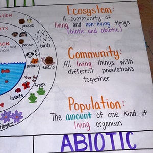 Introduction to Ecosystem Anchor Chart for Elementary, Middle and High ...