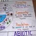 Introduction to Ecosystem Anchor Chart for Elementary, Middle and High ...