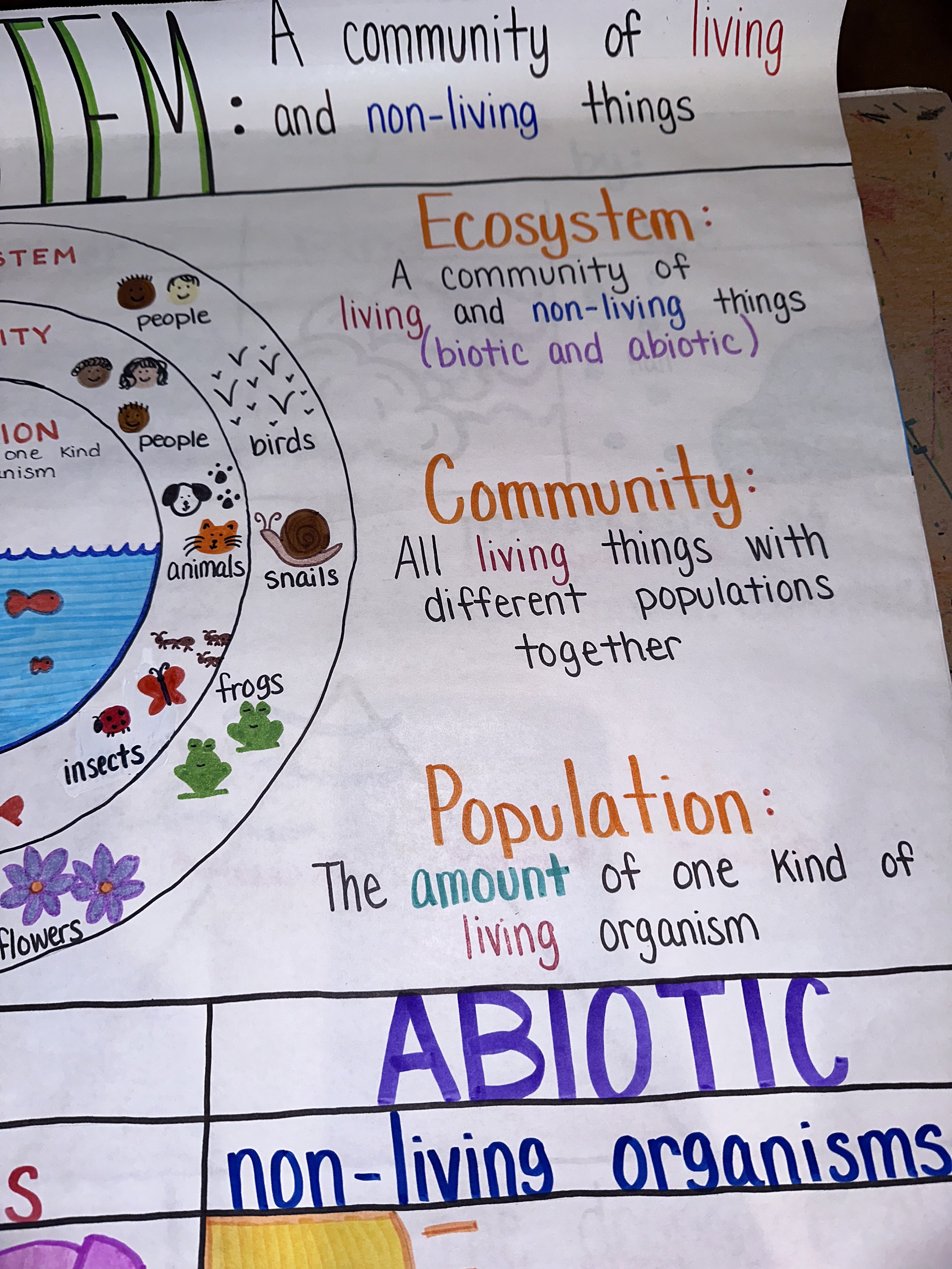 Introduction to Ecosystem Anchor Chart for Elementary, Middle and High ...