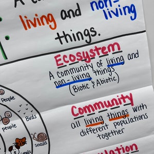 Introduction to Ecosystem Anchor Chart for 5th-8th Grade - Etsy