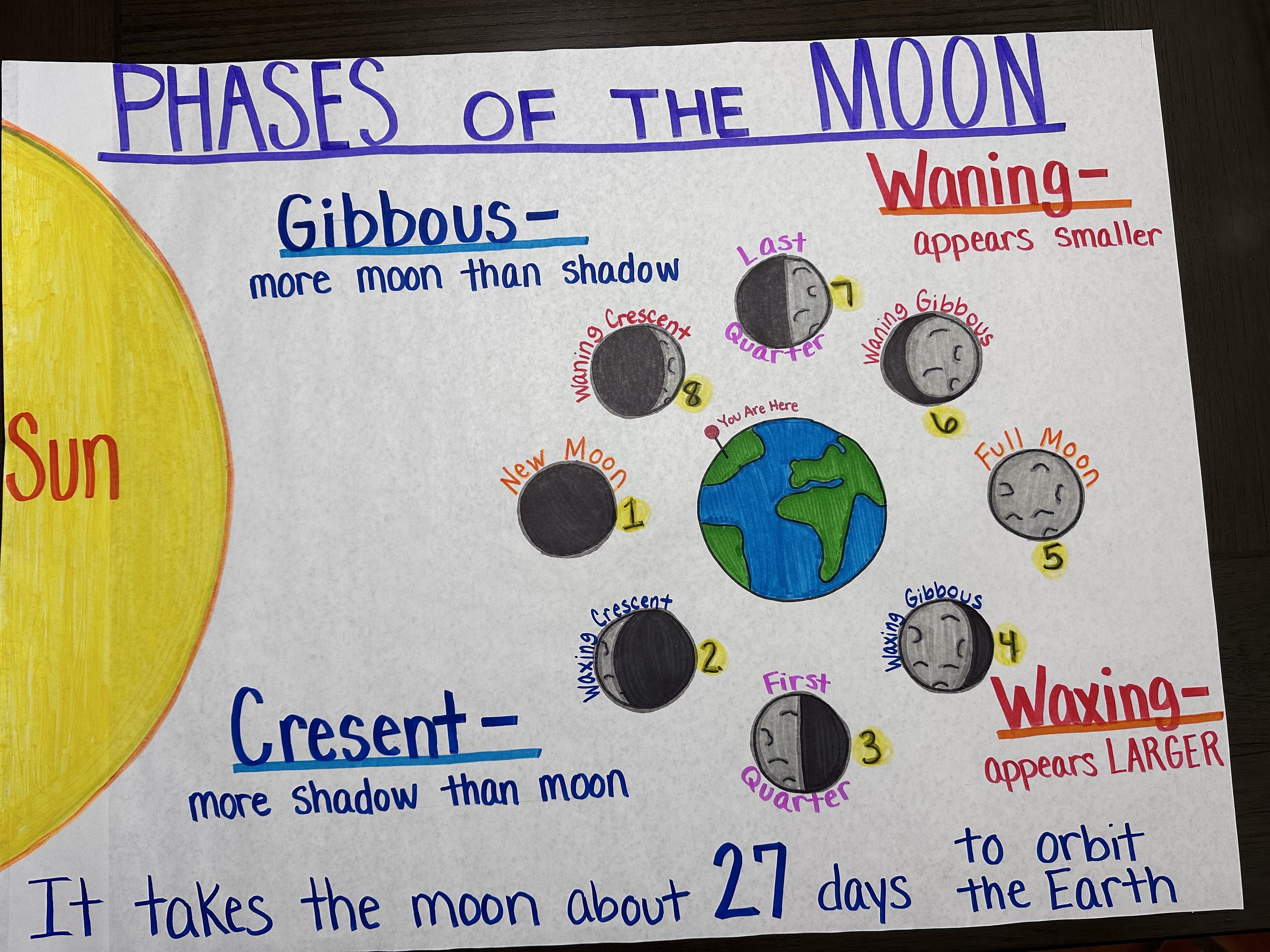 Moon Phases Anchor Chart for Elementary, Middle and High School - Etsy