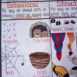 Animal Adaptations Anchor Chart for Elementary, Middle and High School ...