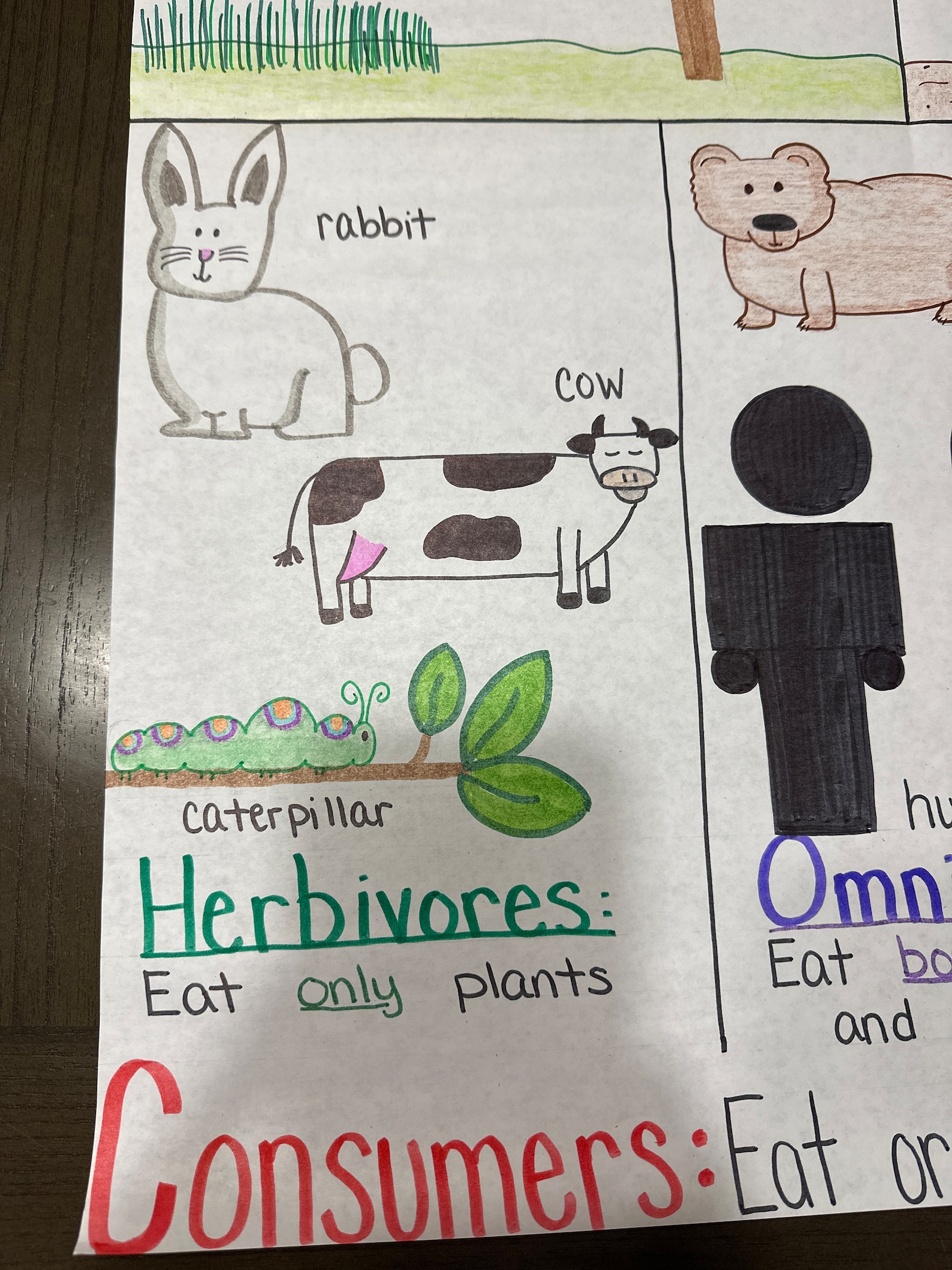 Producers/consumers/decomposers Anchor Chart for Elementary, Middle and ...