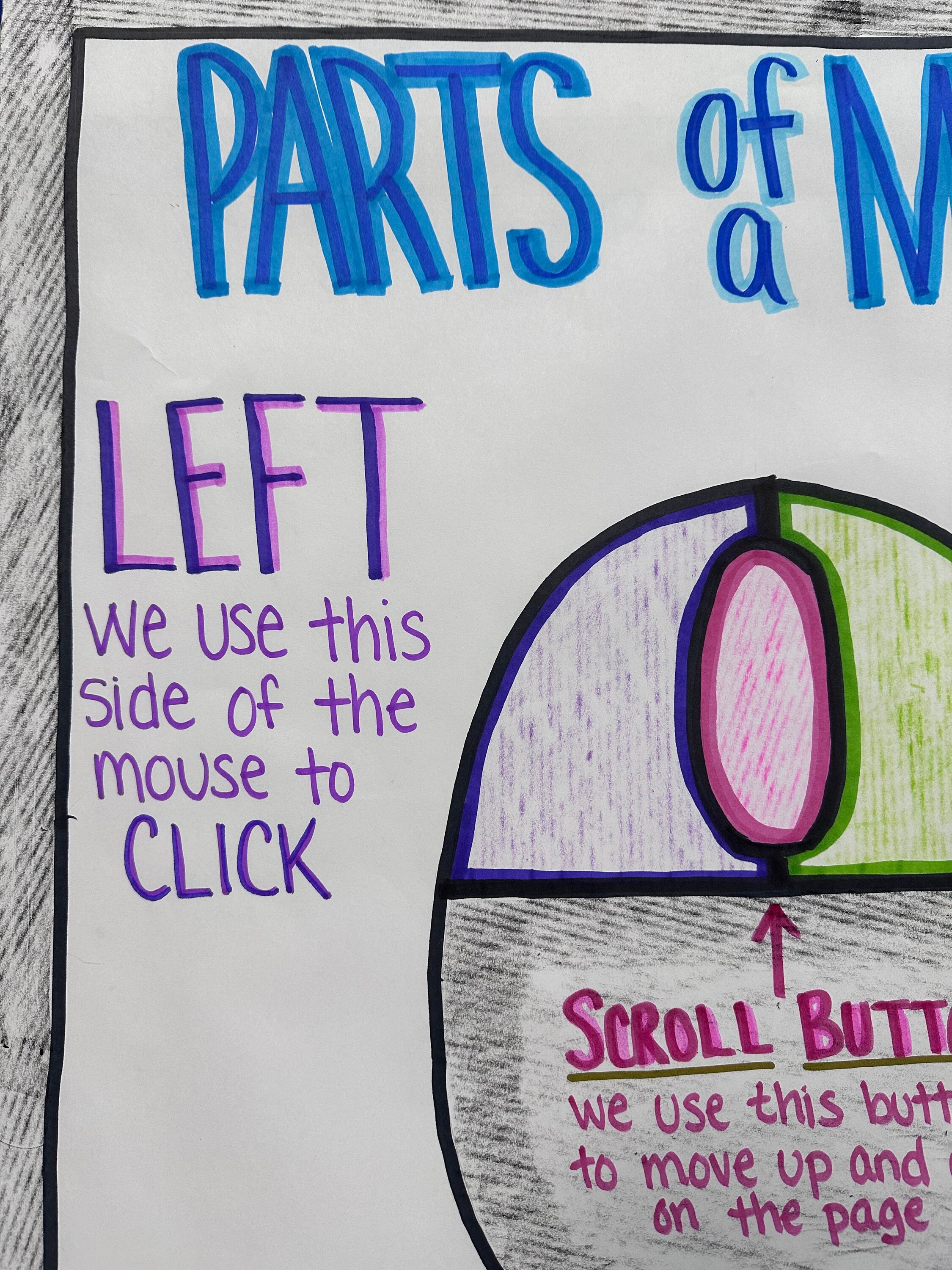 Parts of a Mouse Technology Anchor Chart for 5th-8th Grade - Etsy Australia