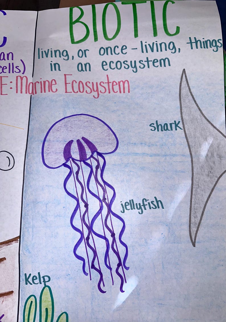 Biotic and Abiotic for Elementary School Middle School and High School ...