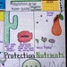 Plant Adaptations Anchor Chart for Elementary, Middle and High School ...