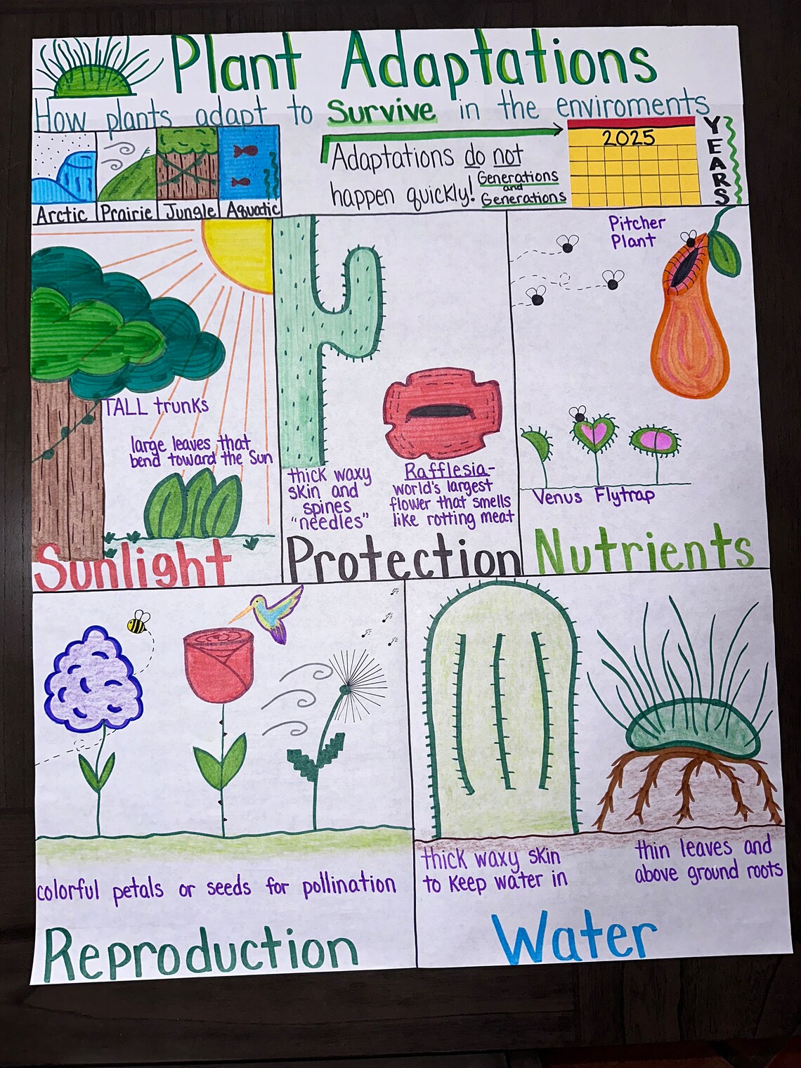 Plant Adaptations Anchor Chart for Elementary, Middle and High School ...
