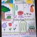 Plant Adaptations Anchor Chart for Elementary, Middle and High School ...