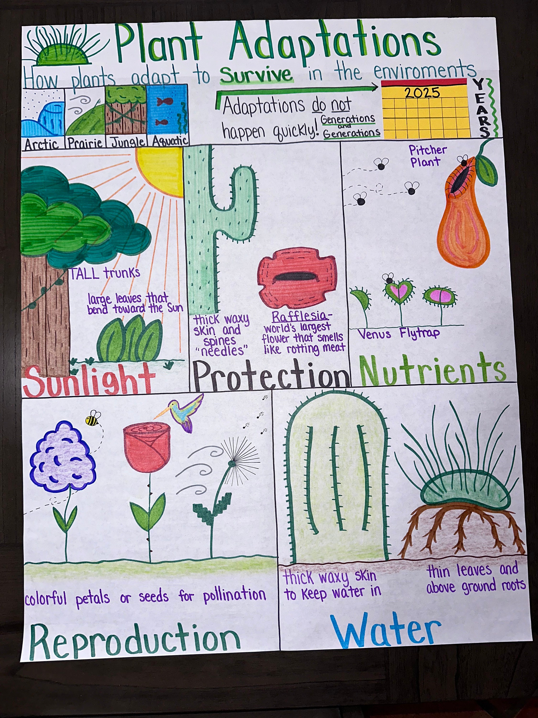 Plant Adaptations Anchor Chart for Elementary, Middle and High School ...