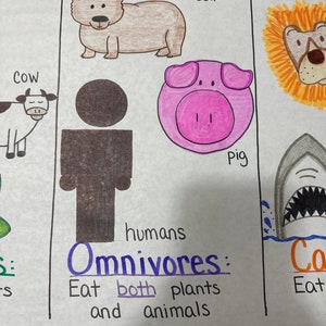 Producers/consumers/decomposers Anchor Chart for Elementary, Middle and ...