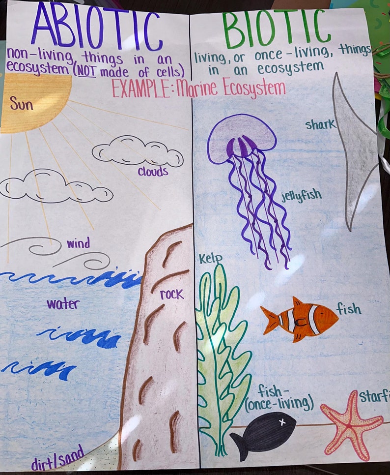 Biotic and Abiotic for Elementary School Middle School and High School ...