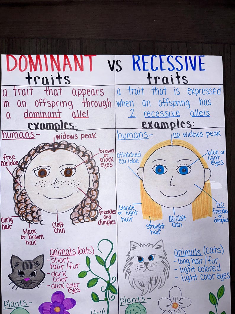 Traits Anchor Chart for Elementary School, Middle School, and High ...