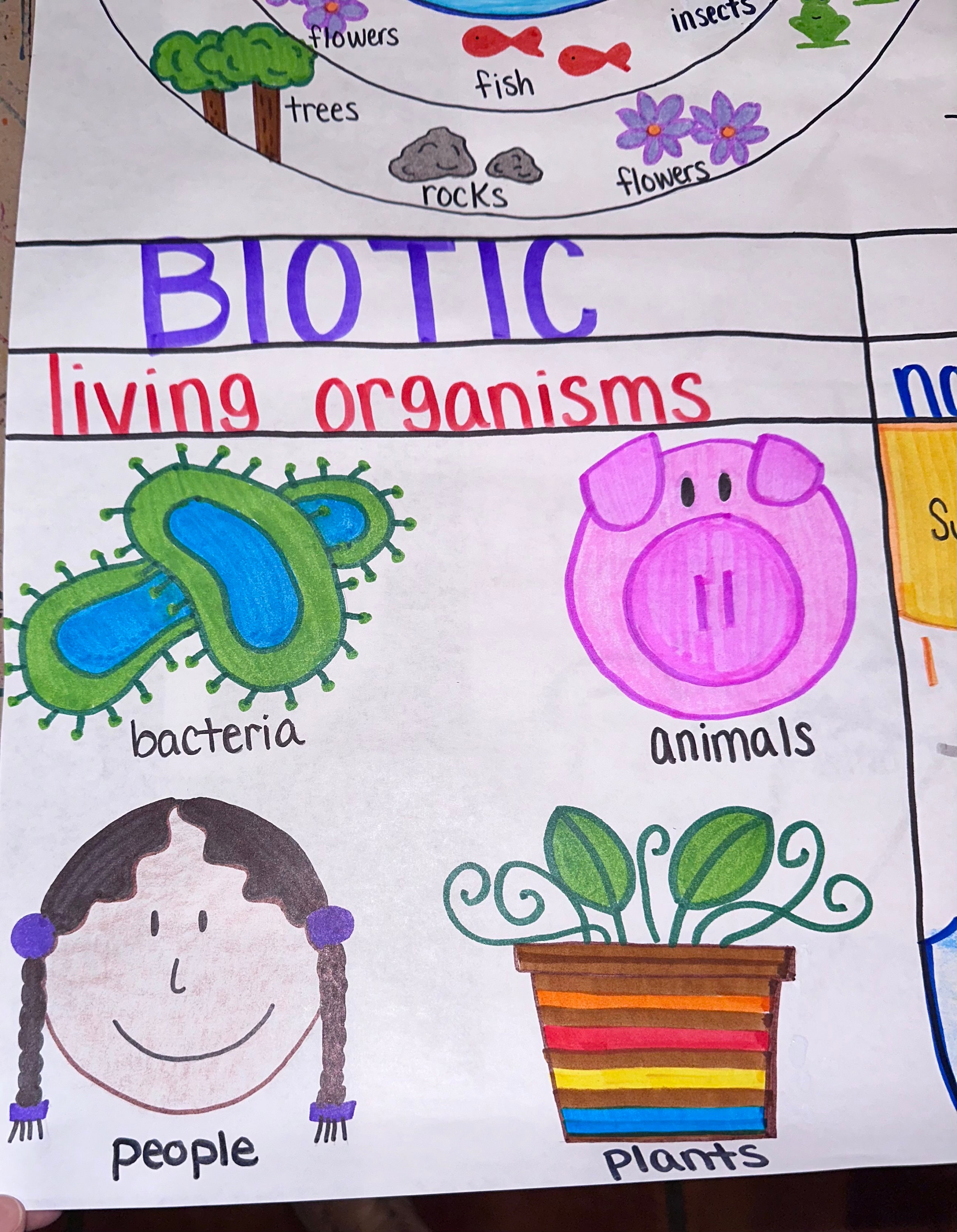 Introduction to Ecosystem Anchor Chart for Elementary, Middle and High ...