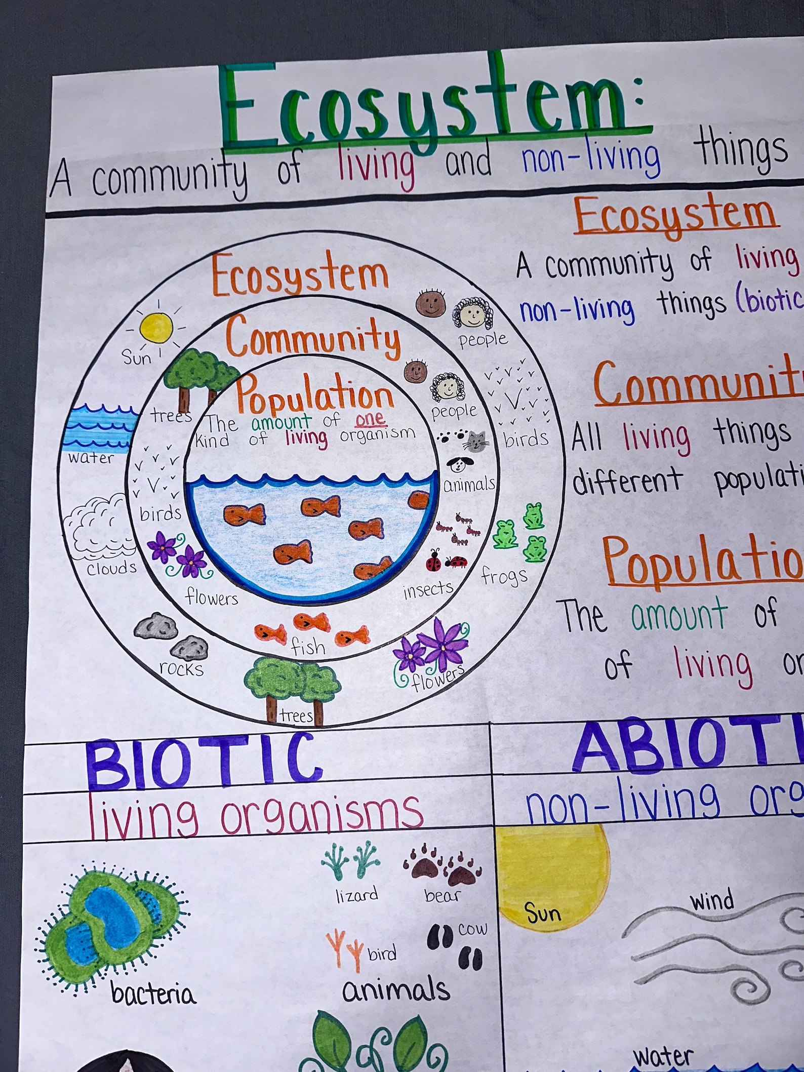 Introduction to Ecosystem Anchor Chart for Elementary, Middle and High ...