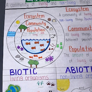 Introduction to Ecosystem Anchor Chart for Elementary, Middle and High ...