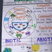 Introduction to Ecosystem Anchor Chart for Elementary, Middle and High ...